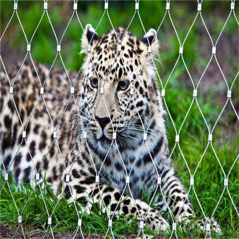 Animal Zoo Mesh Fence are Essential for Visitor Safety