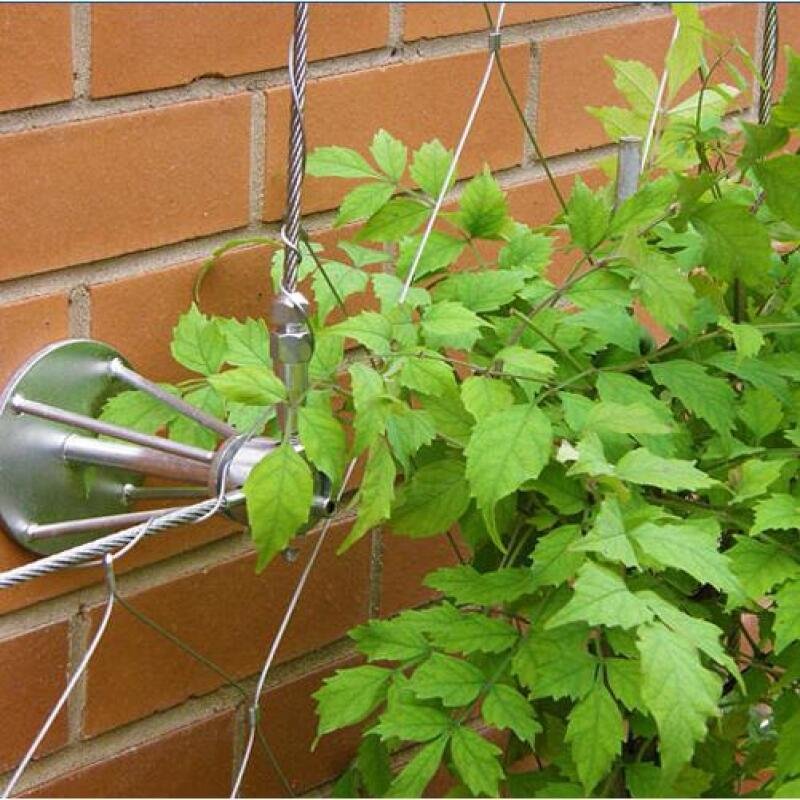 Rope Mesh Green Wall Products: Specifications and Applications