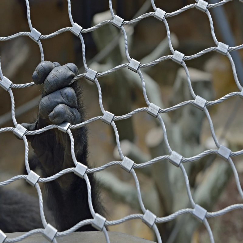 Wire Rope Mesh Fencing: A Versatile and Durable Fencing Solution